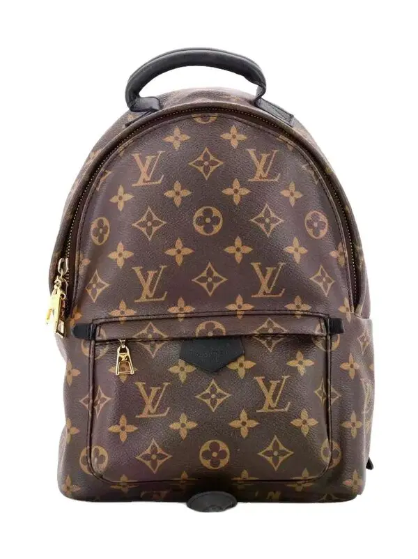 LOUIS VUITTON Palm Springs Monogram Canvas Pm Backpack - Brown