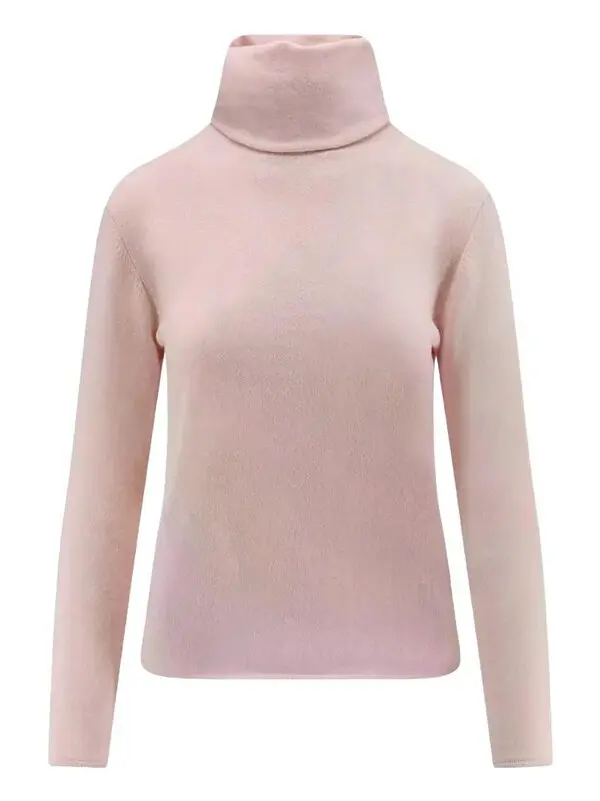 ALESSANDRO ASTE Ribbed Turtleneck Knitwear - Pink