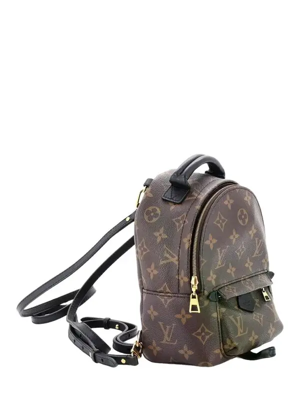 LOUIS VUITTON Palm Springs Monogram Canvas Mini Backpack - Brown