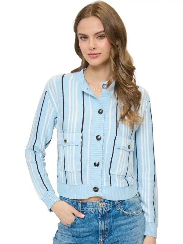 Central Park West Alba Striped Sweater - Blue Stripe
