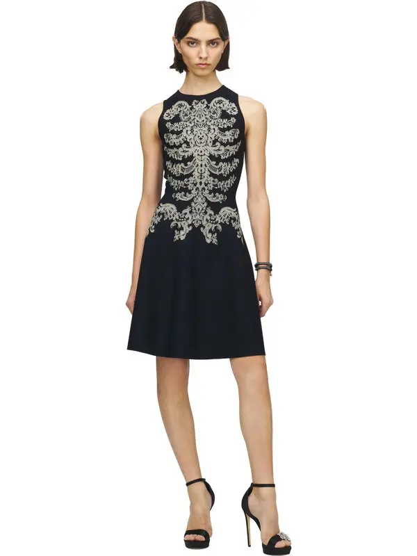 Alexander McQueen Lace Ribcage Jacquard Mini Dress - Black