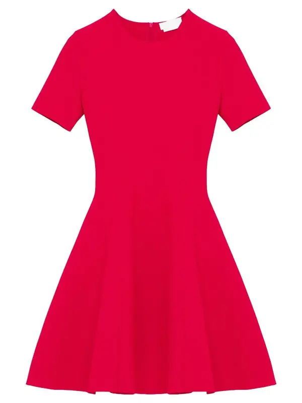 Alexander McQueen Fit And Flare Mini Dress - Red