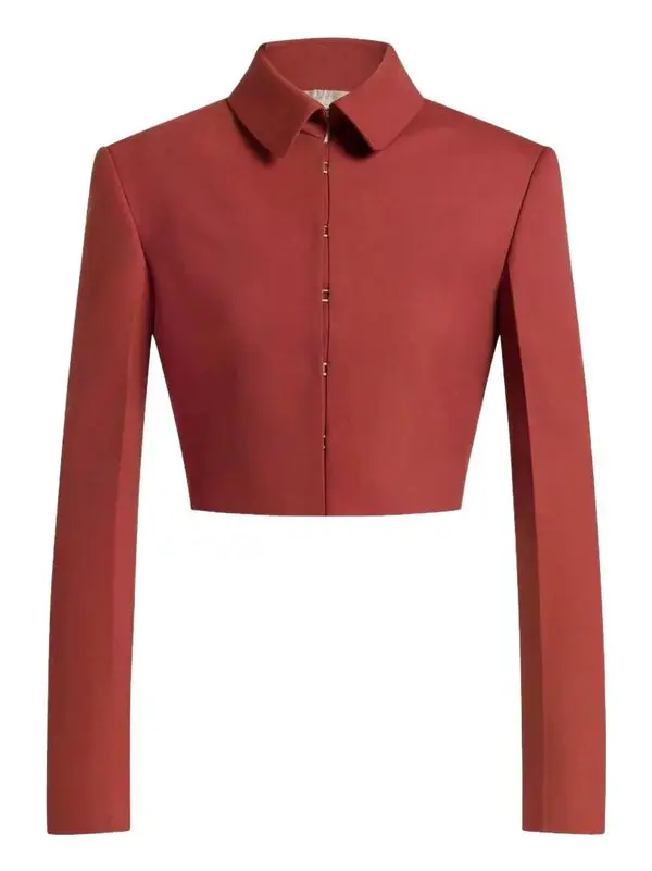 Alberta Ferretti Collared Jacket - Red