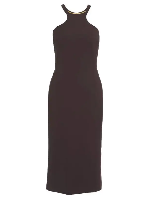 Elisabetta Franchi Dress With Jewel Detail - Brown
