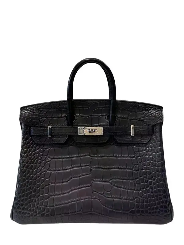 Hermès 2025 25 Birkin Alligator Tote - Black