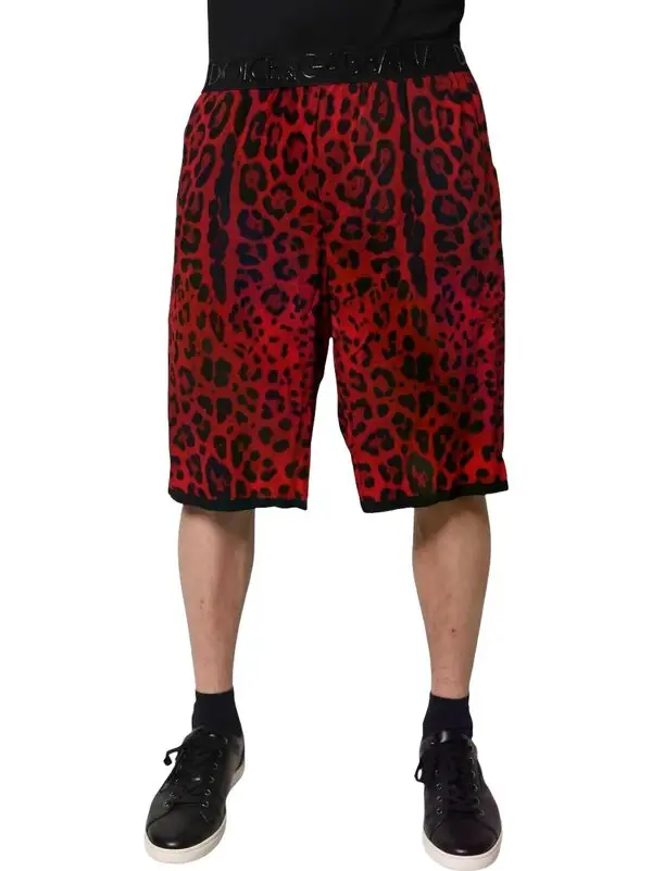 Dolce & Gabbana Leopard-print Logo-waistband Bermuda Shorts - Red