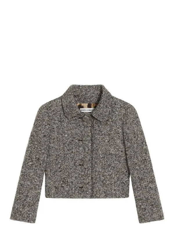 Dolce & Gabbana Birdseye Wool Blend Jacket - Multicolor
