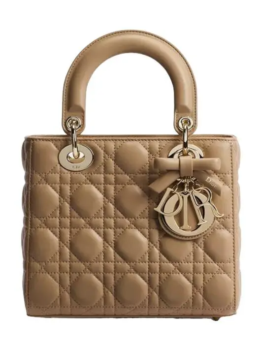 Dior Small Lady Shoulder Bag - Brown