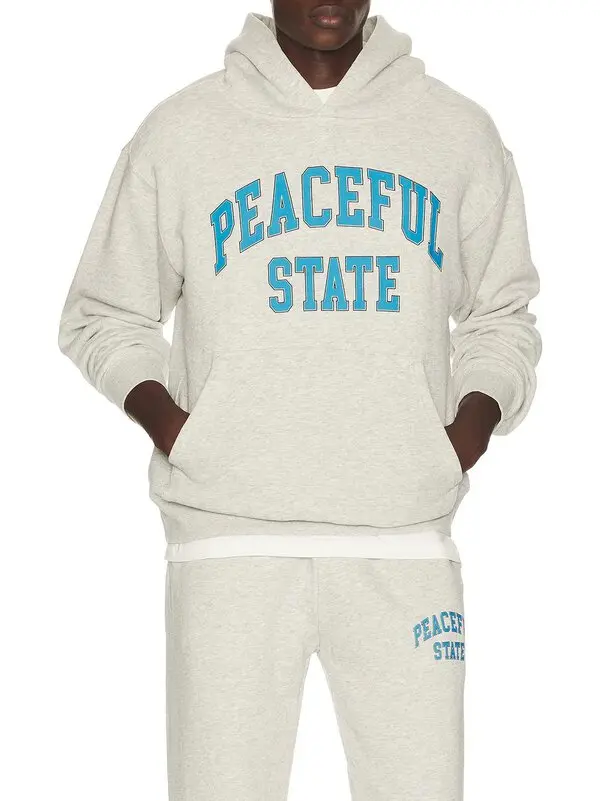 MUSEUM OF PEACE & QUIET Peaceful Hoodie In Grey - Ash