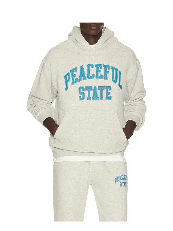 MUSEUM OF PEACE & QUIET Peaceful Hoodie In Grey - Ash