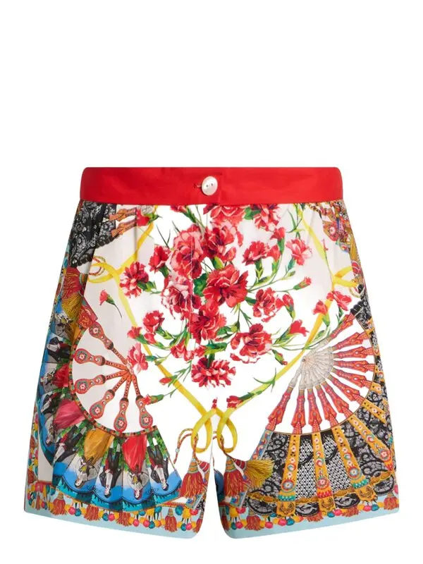Dolce & Gabbana Shorts Bermuda - Multicolor