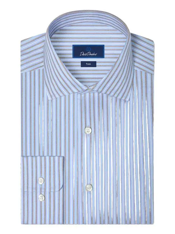 David Donahue Trim Fit Stripe Cotton Dobby Dress Shirt - Sky/dune