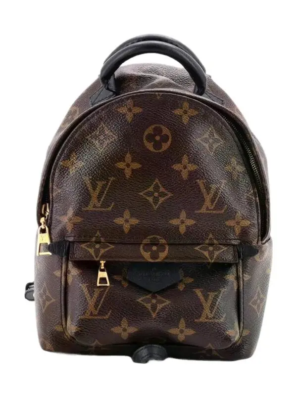 LOUIS VUITTON Palm Springs Monogram Canvas Mini Backpack - Brown