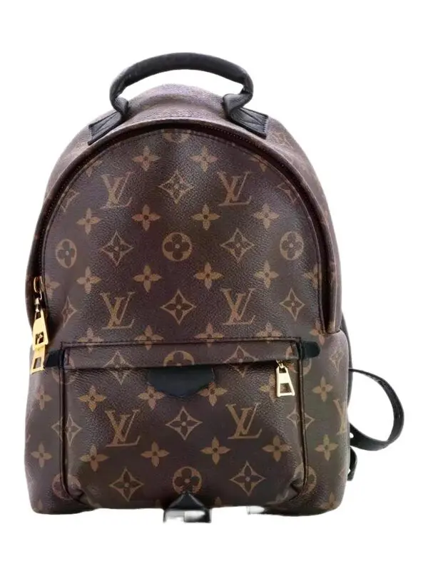 LOUIS VUITTON Palm Springs Monogram Canvas Pm Backpack - Ebony