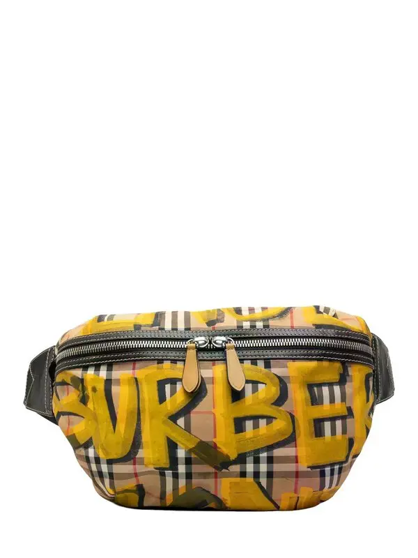 Burberry 2024 Large House Check Canvas Graffiti Sony Belt Bag - Neutrals