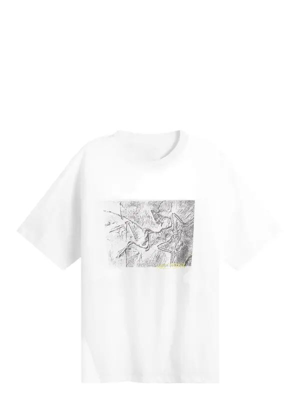 Arc'teryx Kragg Cotton Lithographica T-shirt - White Light