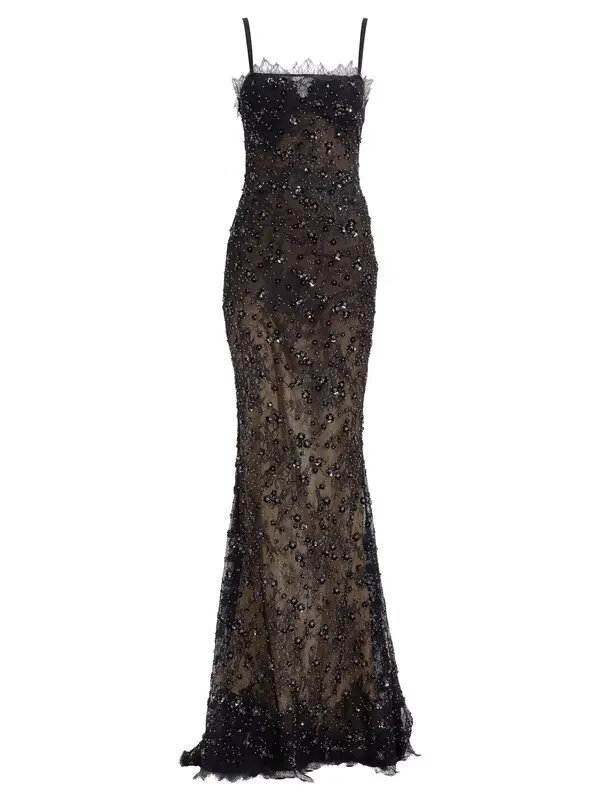 Elie Saab Sleeveless Embroidered Lace Gown - Black