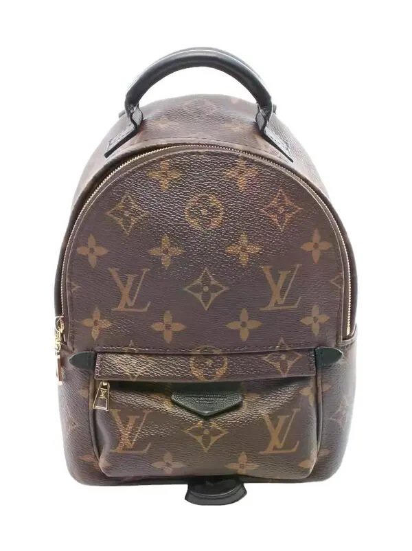 LOUIS VUITTON 2020 Mini Palm Springs Backpack - Brown