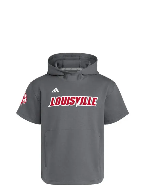 Adidas Dugout Short Sleeve Hoodie - Team Dark Grey / White / Ncaa-lou-7le