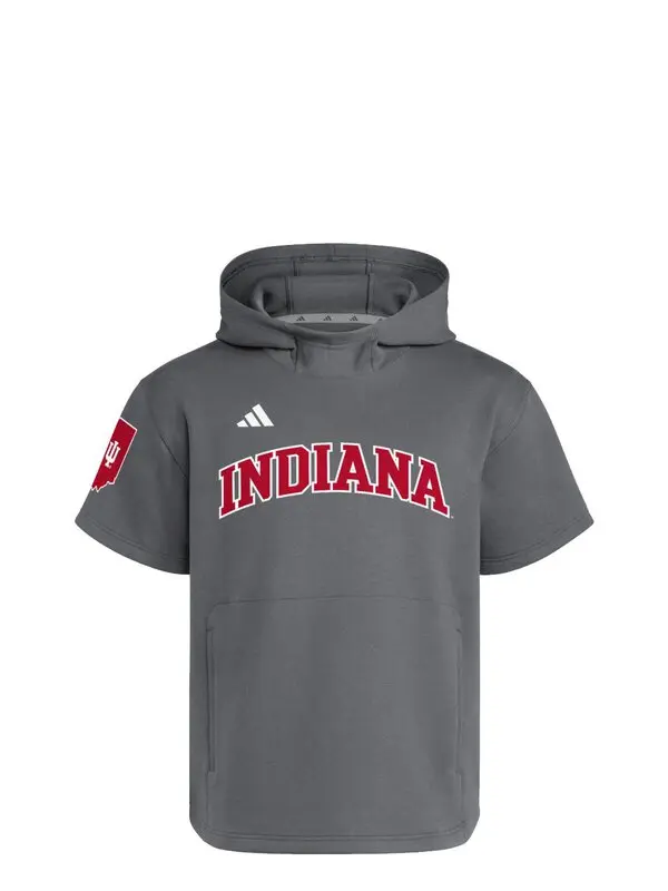 Adidas Dugout Short Sleeve Hoodie - Team Dark Grey / White / Ncaa-ind-7in