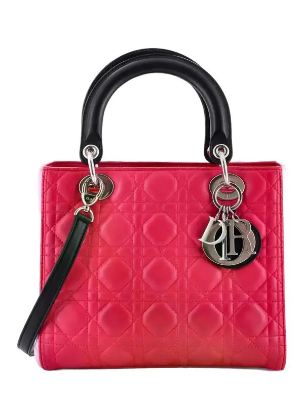 Dior Lady Medium Satchel - Multicolour