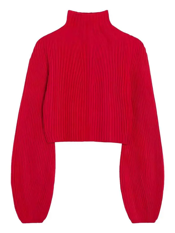 Sportmax Marmo Ribbed Turtleneck Sweater - Red