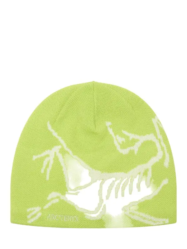 Arc'teryx Bird Head Toque - Mantis/arctic Silk