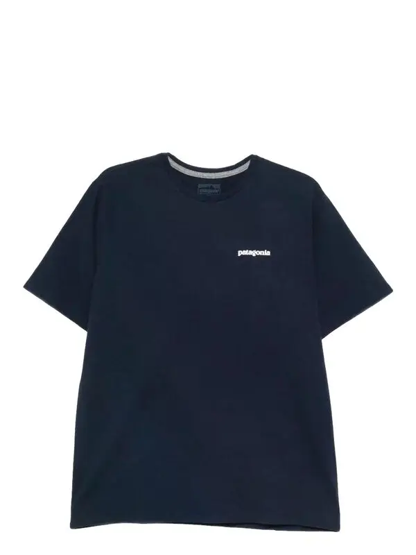 Patagonia Graphic T-shirt - Blue