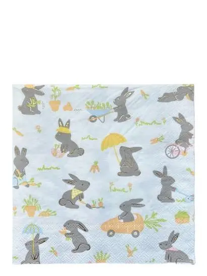 DAYDREAM SOCIETY Bunnies In The Garden Large Napkins - Asssorted Pre-pack