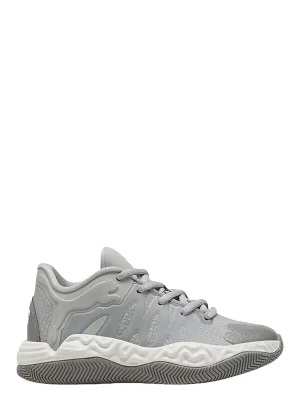 PUMA Hali 1 Ps 'feather - Grey
