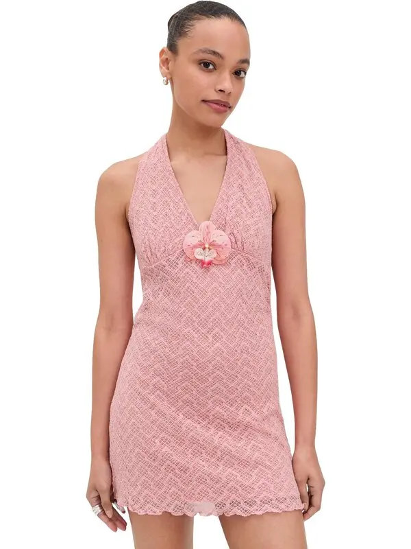 BAILEY ROSE Lace Halter Mini Dress - Rose