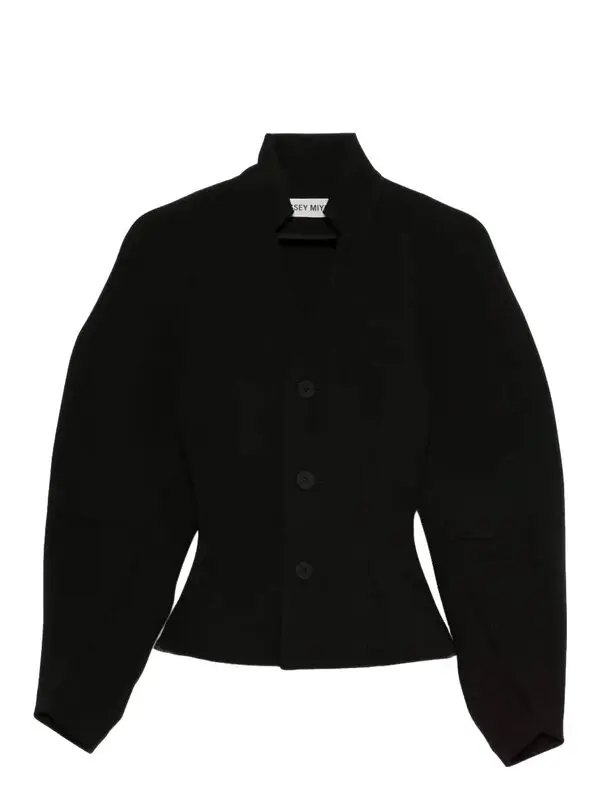 Issey Miyake Buttoned Jacket - Black