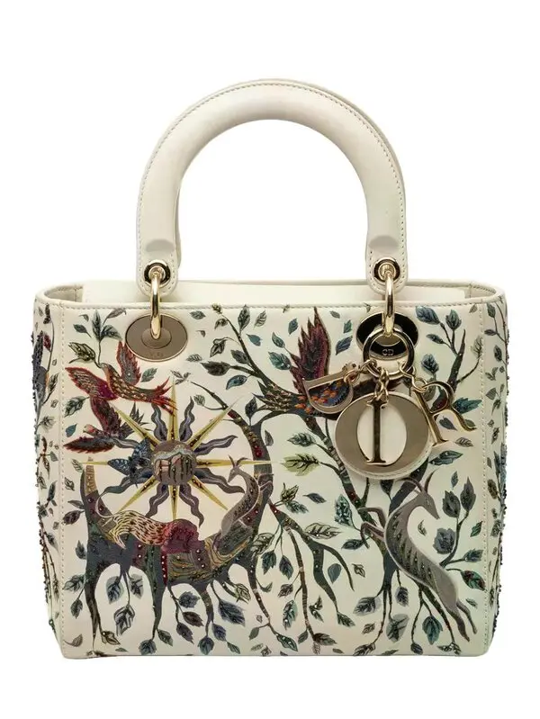Dior 2019 Medium Earth Lady Satchel - White