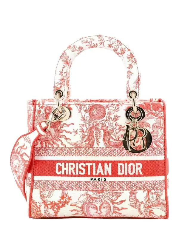 Dior Lady D-lite Medium Embroidered Satchel - Multicolour