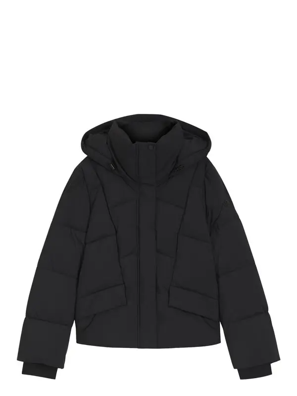 BOSS Padded Jacket With Piping Detail - Black