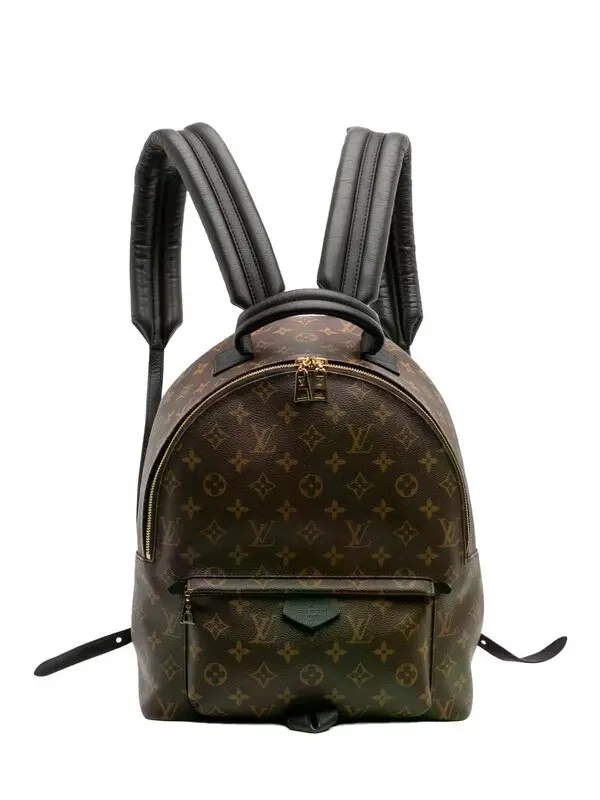 LOUIS VUITTON Monogram Palm Springs Mm Backpack - Brown