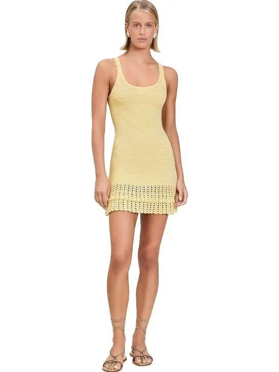 Devon Windsor Willamina Crochet Mini Dress - Floral