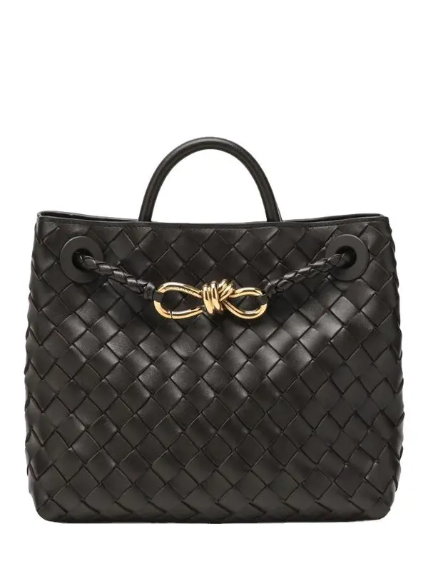 Bottega Veneta Small Andiamo Bag - Brown