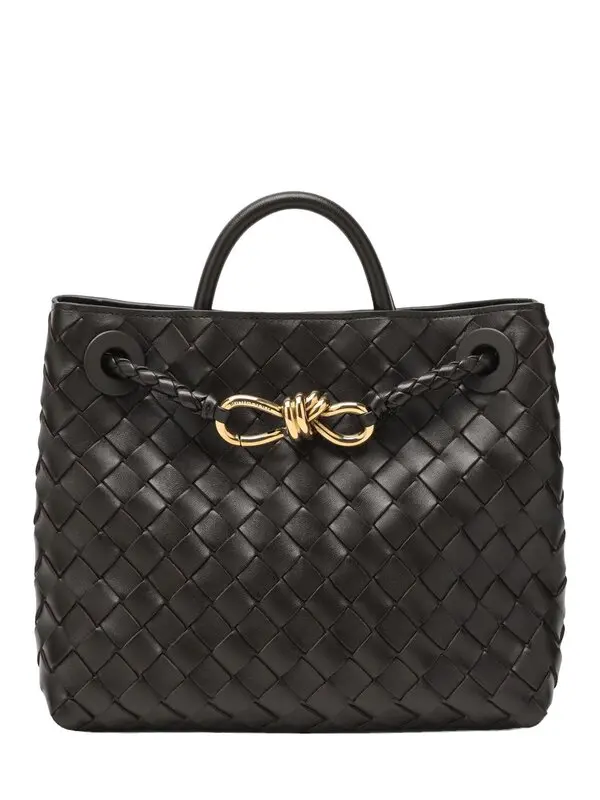 Bottega Veneta Andiamo Small Bag - Brown