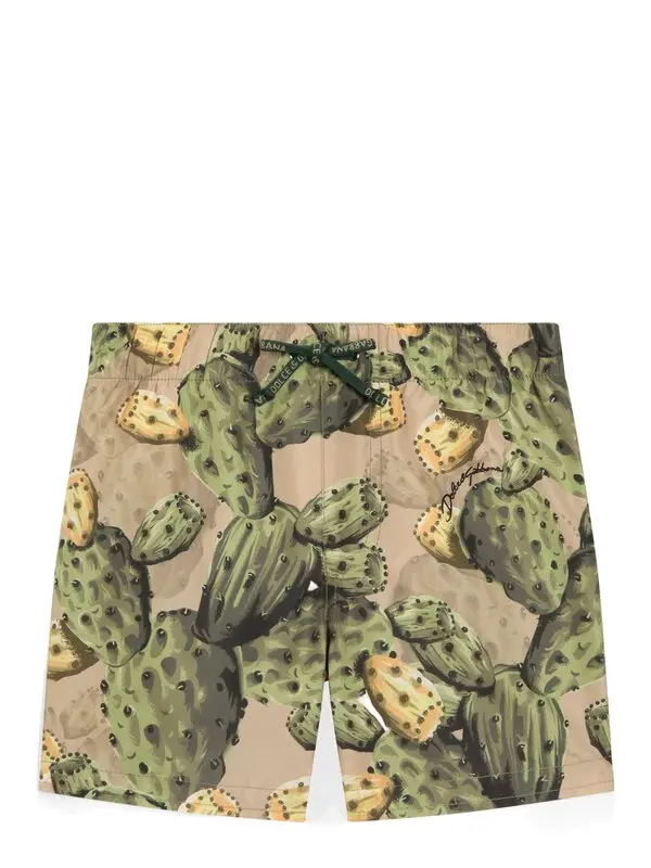 Dolce & Gabbana Cactus Print Nylon Swim Shorts - Multicolor