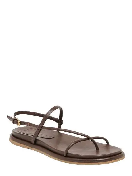 Dolce Vita Strappy Sandal - Dark Brown Leather
