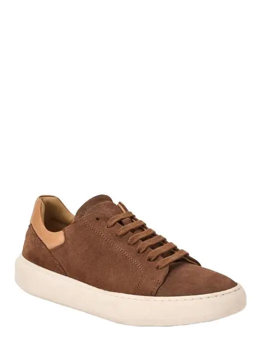 Bruno Magli Salvatore Leather Sneakers - Taupe Suede