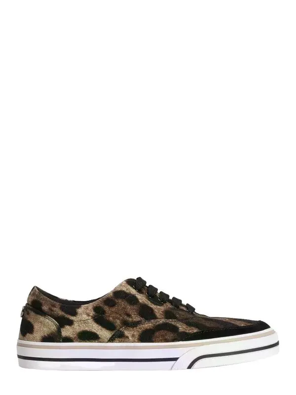 Dolce & Gabbana Dg Sailing Printed Canvas Sneakers - Brown