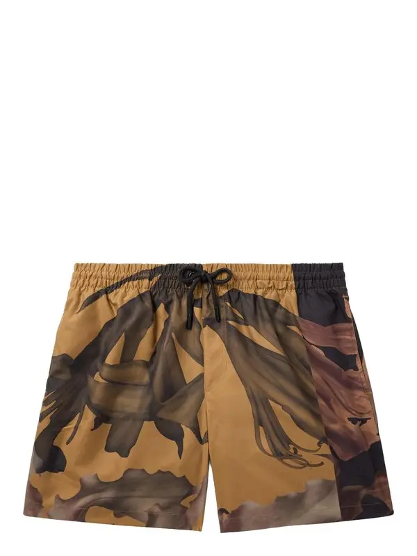 Dries Van Noten Straight-leg Mid-length Printed Swim Shorts - Brown