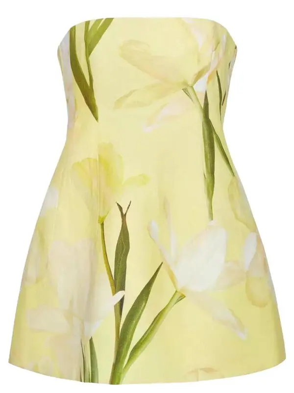 Cara Cara Lillian Floral-print Strapless Mini Dress - Yellow