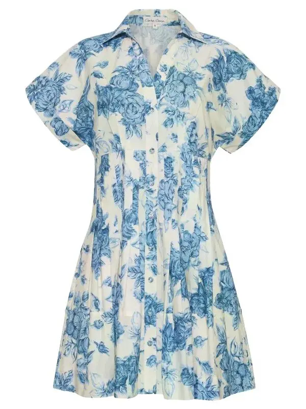 Cara Cara Nash Floral-print Mini Dress - Blue