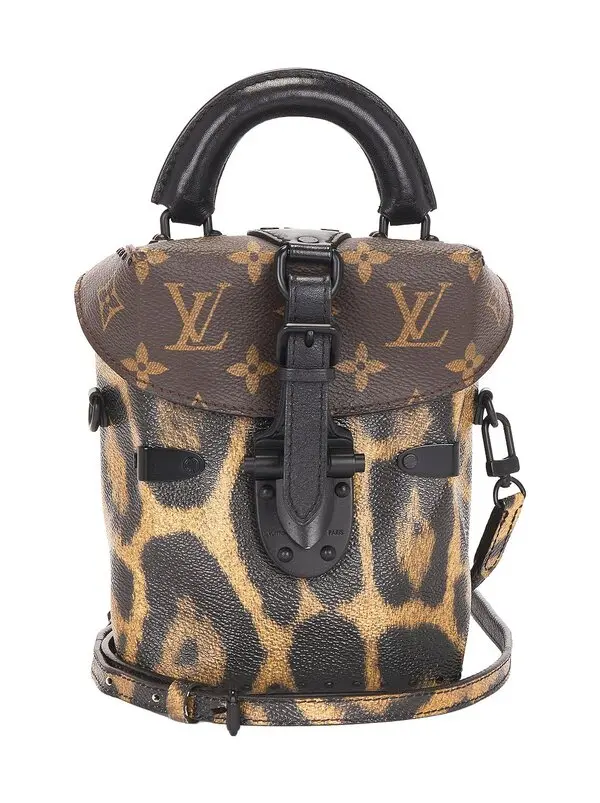 LOUIS VUITTON Monogram Wild Animal Camera Box - Brown