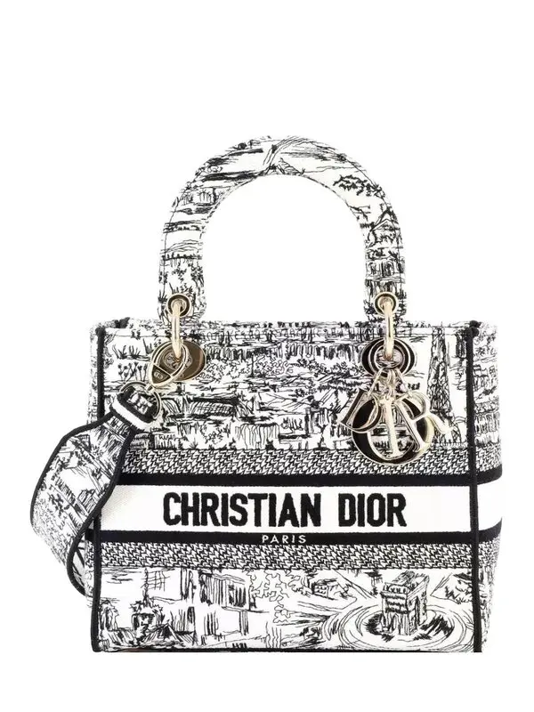 Dior Lady D-lite Embroidered Canvas Satchel - Multicolour