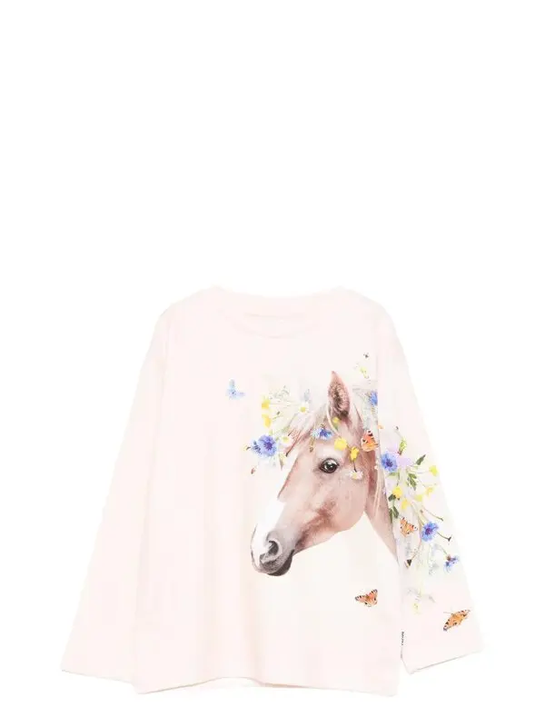 MOLO Mountoo Sweatshirt - Brown