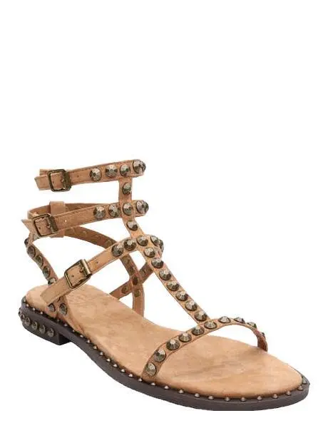 Ash Studded Gladiator Sandals - Moka Mou